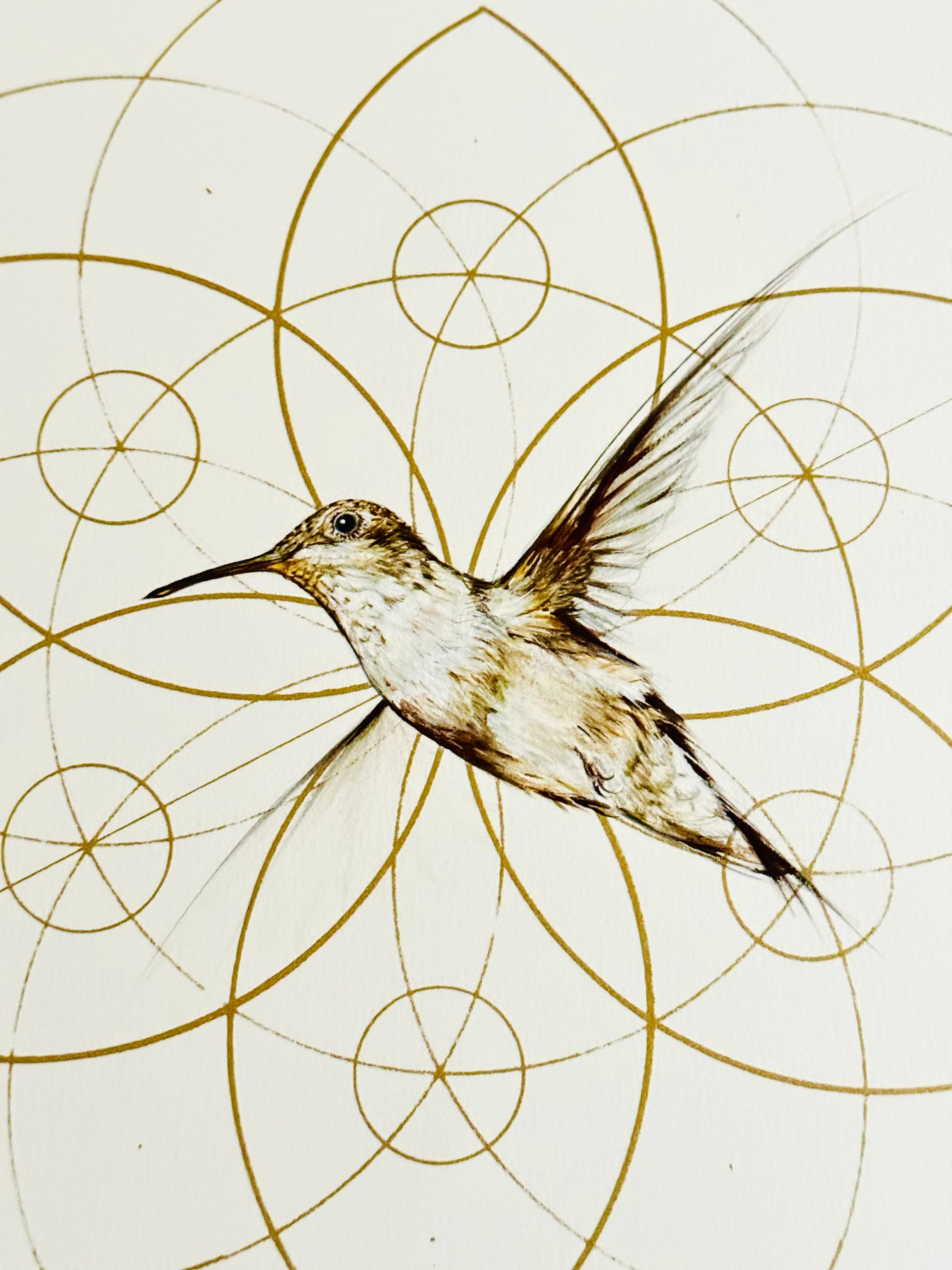 SUNBiRD FLOWER iiii - ORiGiNAL DRAWiNG. – EDiT. Greenwich